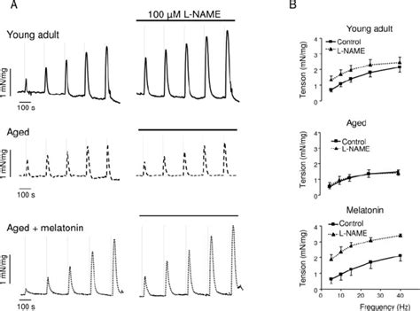 Atropine Sensitive Efs Induced Response Remains Unaltered By Aging A Download Scientific