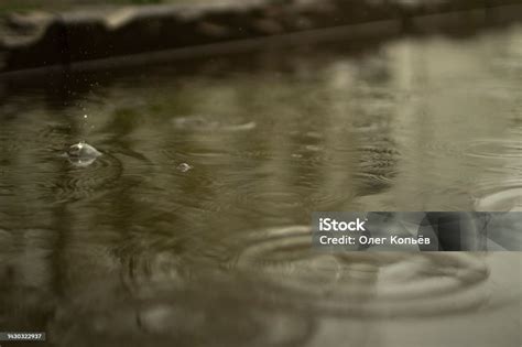 밖에 비가 내린다 마당에있는 큰 웅덩이 습한 날씨 웅덩이의 표면 기상 이변에 대한 스톡 사진 및 기타 이미지 기상 이변 기포 기후 묘사 Istock