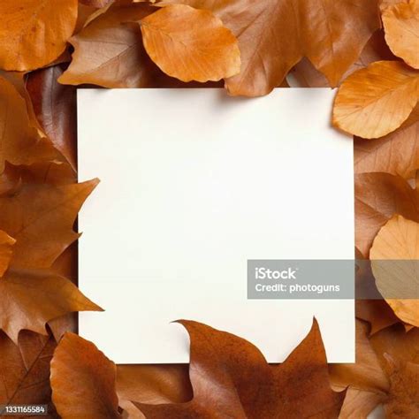 단풍과 빈 종이 카드의 프레임 크러이블 플랫 평지 조성물 맨 위 보기입니다 감사합니다 기빙 하루 인사말 카드 모형 0명에 대한 스톡 사진 및 기타 이미지 Istock