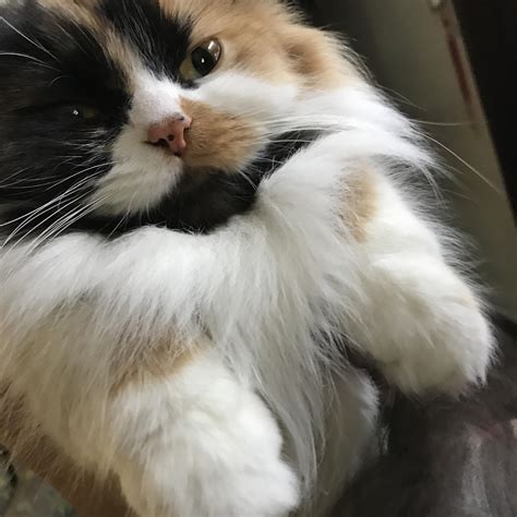 Isnt She The Cutest Scrolller