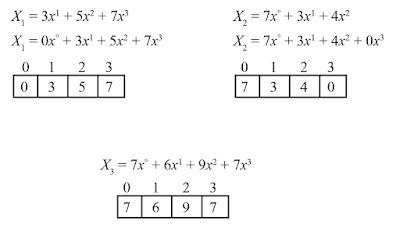 Polynomial Representation Using Arrays