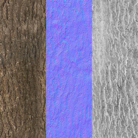 Dry Plants 3d Model Pack