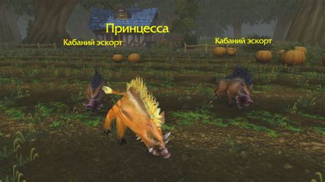 Прохождение задания Принцесса должна умереть в Wow Classic