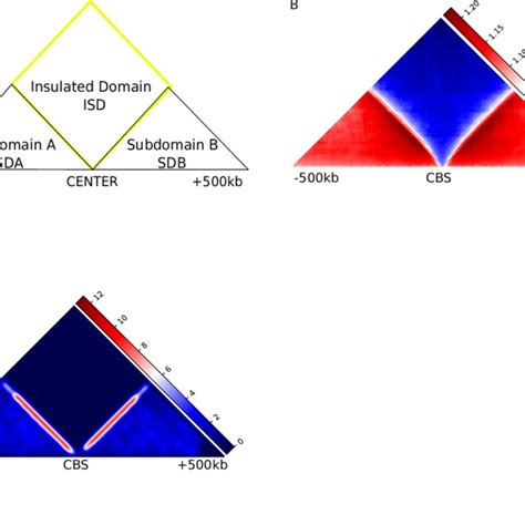 Modeling The Cpap A The Aggregated Hic Map Is Centered On The Download Scientific Diagram