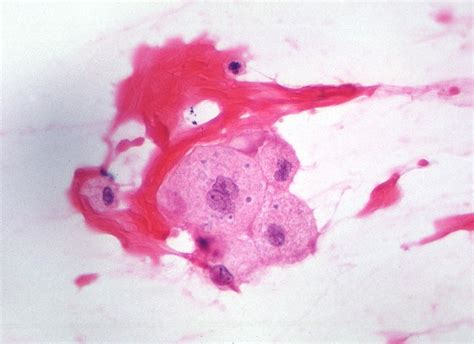 00016709 Peir Digital Library