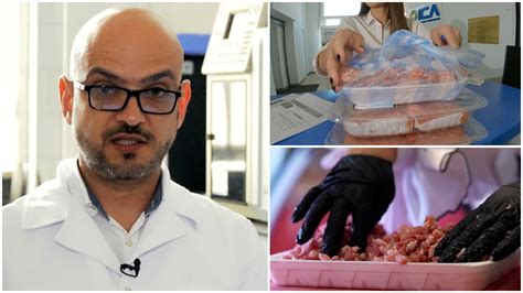 Experiment Micii Găsiți Cu E Coli Acum Două Luni Duși Din Nou La Laborator Pentru A Fi