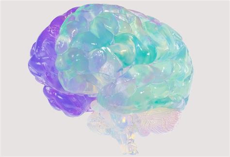 Decoding The Enigmatic Growth Of Solid Tumors A Bio Mathematical