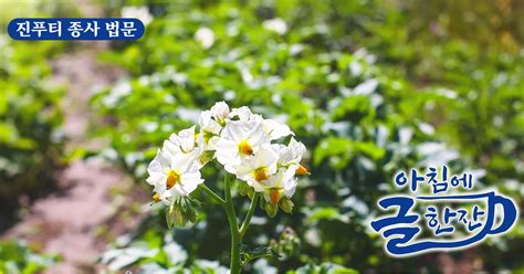 한국 아침에 글 한 잔 지장보살본원경 30 진푸티 종사 법문 시리즈 제3품 관중생업연품 3” 계속해서 성모 마야 부인이 지장보살에게 여쭸습니다 마야 부인