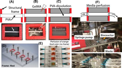 Design And Performance Testing Of 3d Printed Construct And Bioreactor Download Scientific