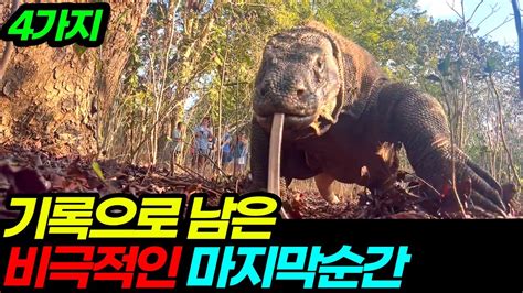 4 세계 곳곳에서 일어난 비극적인 사건사고 모음 Youtube