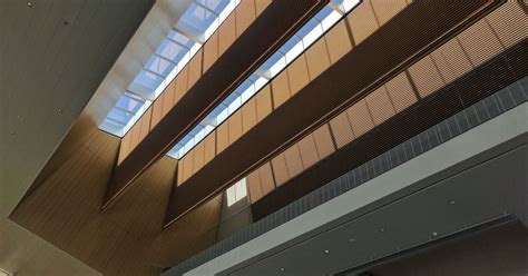 ¿qué Se Esconde Tras El “famous Mouse” De Mschf — Baylos