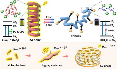 Cross Strait Hong Kong And Macao Polymer Liquid Crystal State And Supramolecular Ordered