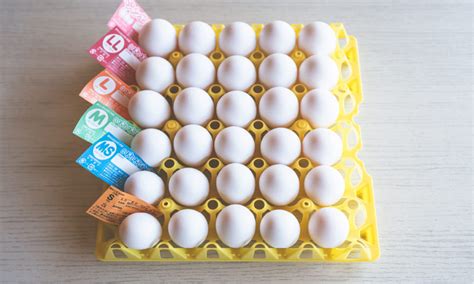 たまごの種類 多品種を取り揃えるたまごの専門店｜木戸商店｜由島たまご直売店｜新潟県三条市多品種を取り揃えるたまごの専門店｜木戸商店｜由島たまご直売店｜新潟県三条市