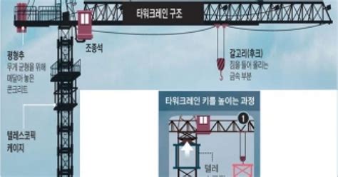타워크레인 조종사 면허 정기적성검사 재도입키로