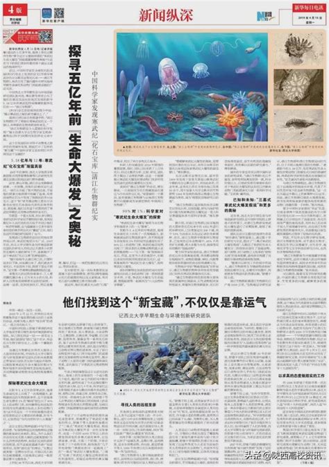 西北大學清江生物群成果領銜2019年度中國古生物學十大進展 每日頭條