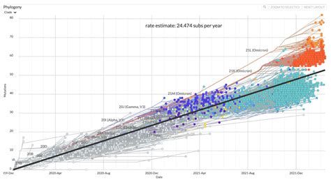 Module 4 Estimating Evolutionary Rates Molecular Clocks From