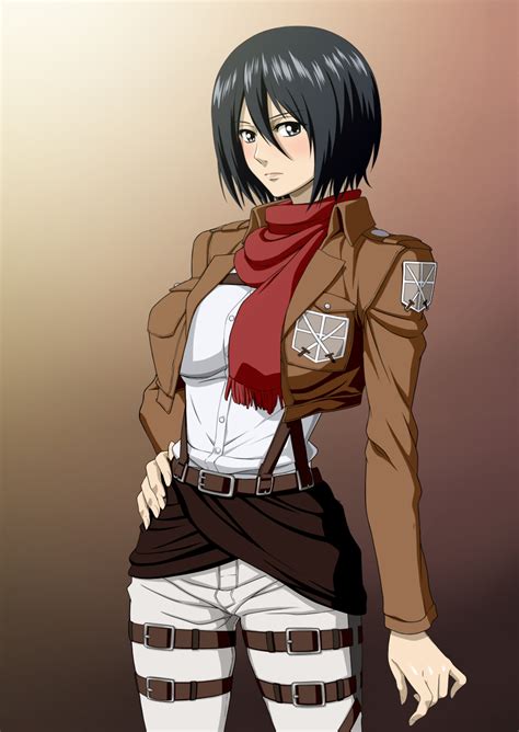 Nel Zel Formula Mikasa Ackerman Shingeki No Kyojin Highres 1girl
