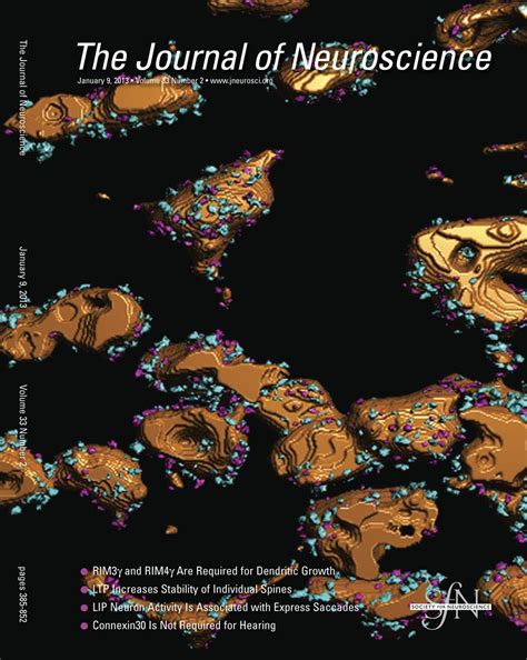 Organization Of Cortical And Thalamic Input To Pyramidal Neurons In Mouse Motor Cortex Journal