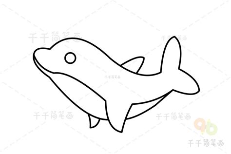 可爱的海豚简笔画如何画 海洋动物视频简笔画