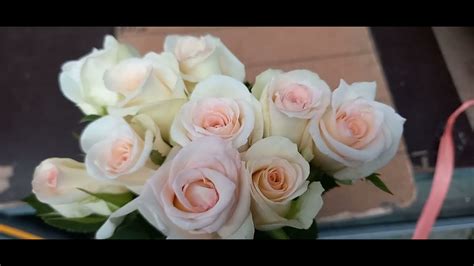 포비장미 생화 꽃집 꽃집창업 꽃값 온라인꽃시장 온라인꽃도매 인터넷꽃시장 인터넷꽃도매 서울꽃시장 꽃농장 꽃배송 생화배송 생화도매 생화택배 꽃배달 생화배달 생화주문 생화부케