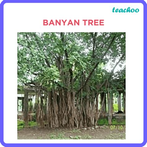 Assertion And Reasoning Assertion A To Many Of Us Peepal