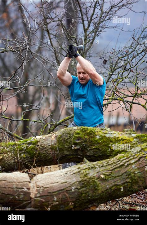 Farmer With Cutting Axe Working On A Fell Tree Stock Photo Alamy