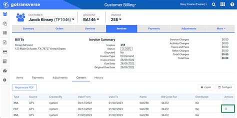 Download Invoice Usage