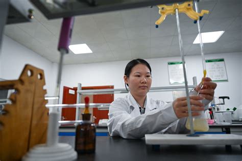 走进“大国粮仓” 感受“储粮之道”中国农科新闻网