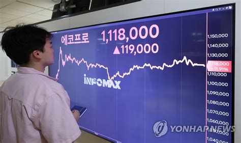 파죽지세 에코프로 형제 목표주가 부재 속 주가 향방은 나무뉴스