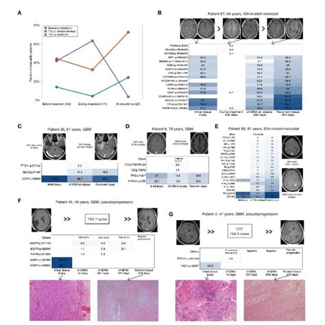 Dynamic Consistency Between Paired Cf Tdna And Tumor Genomes A Download Scientific Diagram