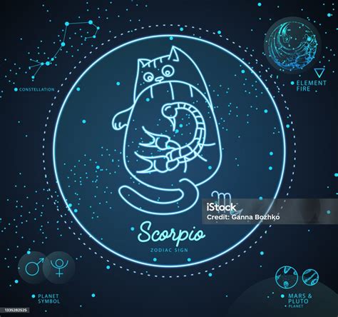 점성술 전갈 자리 조디악 기호현대 마법 마술 카드 만화 조디악 기호 재미있는 고양이 갈고리 발톱에 대한 스톡 벡터 아트 및 기타