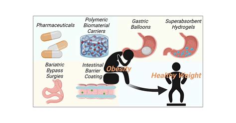 Current Role And Potential Of Polymeric Biomaterials In Clinical Obesity Treatment