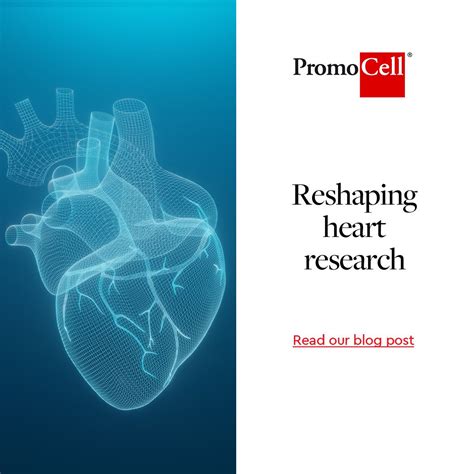 Promocell On Linkedin Cardiovascularresearch