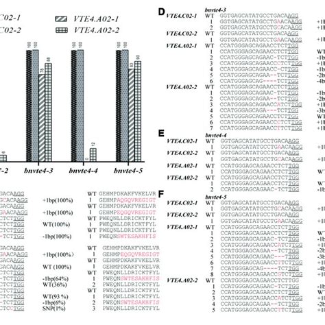 Mutation Type Mutation Efficiency And Amino Acid Alterations In