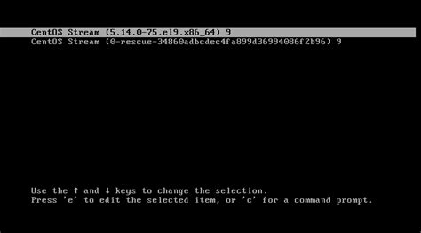 How To Interrupt The Linux Boot Process