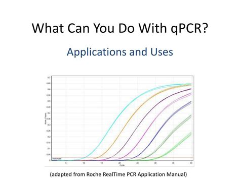 PPT What Can You Do With QPCR PowerPoint Presentation Free Download ID 2424043