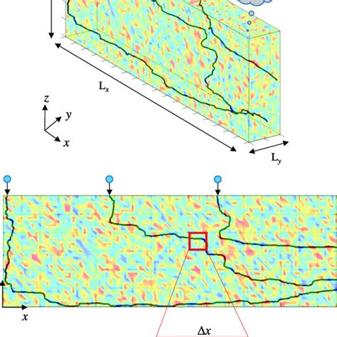 Schematic Of The Particle Tracking Approach A A Hypothetical Domain Download Scientific
