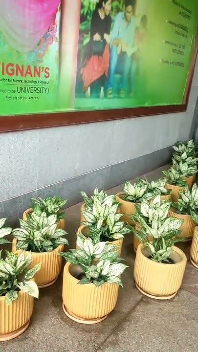 Vignan University Main Block Ytshorts Ytshortsindia Shorts Shortvideo