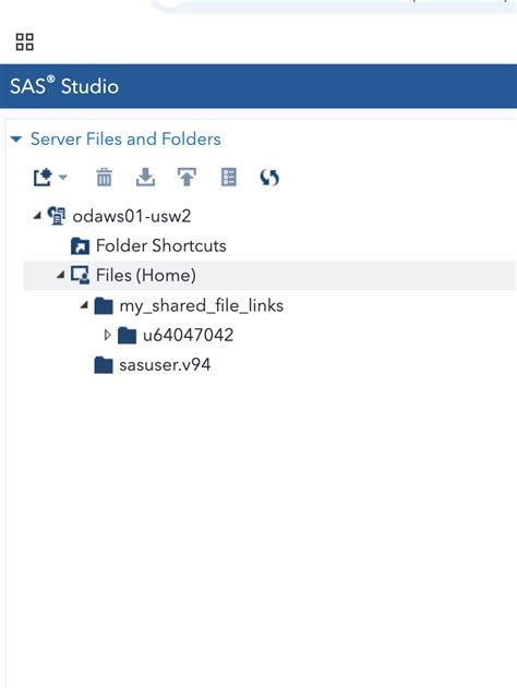 how to find the file p101a03 sas and activity files sas support