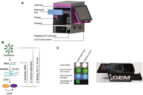 Frontiers A Comprehensive Review Of Microfluidic Approaches In Cell Free Synthetic Biology