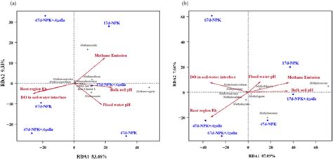 Redundancy Analysis Rda Displaying The Relationship Among Download Scientific Diagram