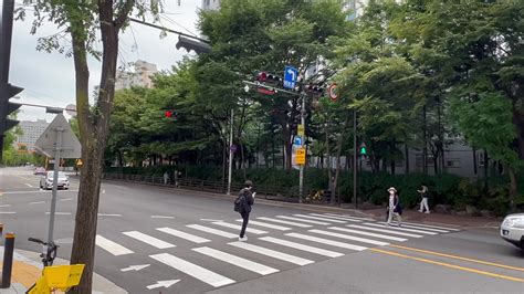 Track Pedestrian Object Detection Dataset By Zzennin