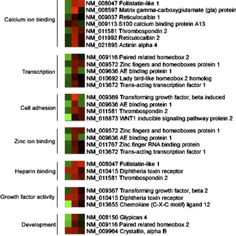 Genes That Are Dysregulated In The Absence Of Full Length Lamin B1 Or