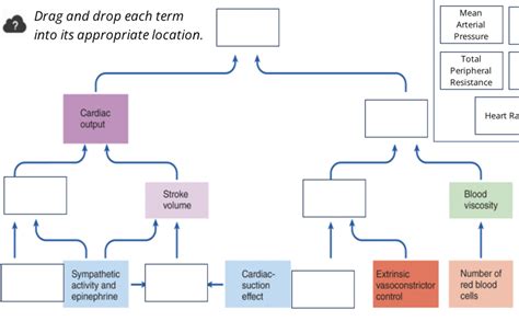 Module 6 Diagram Quizlet