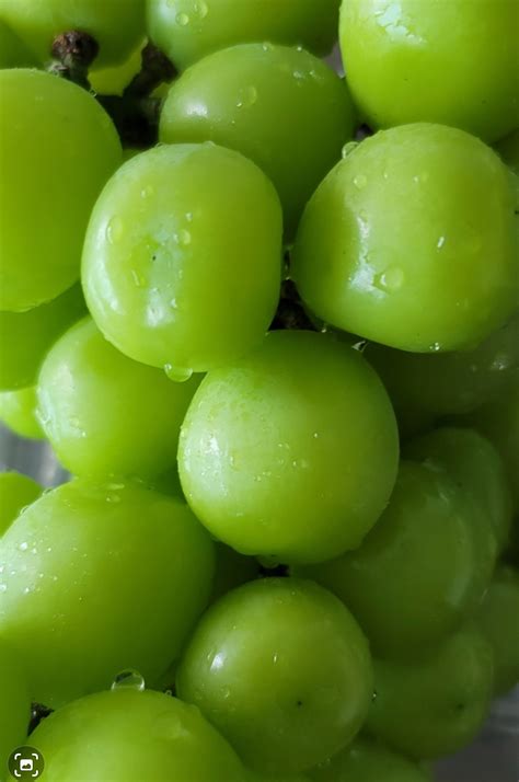 냥줍 새끼 고양이 갑자기 키울 때 꼭 해야 할 일