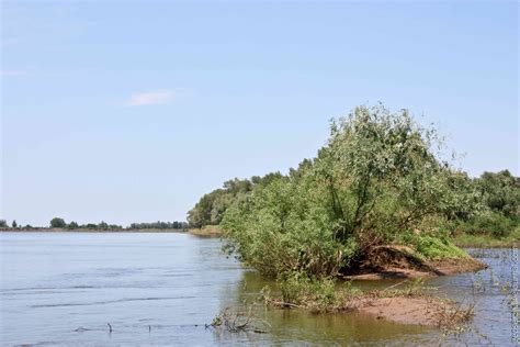 Природа Астраханской области Geoserzh — Livejournal