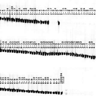 Schematic Of The Probe Based RPA Detection Method A Signal Generation Download Scientific