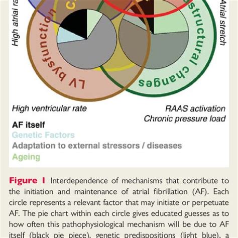Suggested Classification Of Different Types Of Atrial Fibrillation Download Table