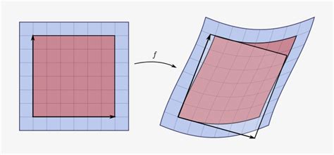Jacobian Determinant And Distortion Jacobian Determinant Free