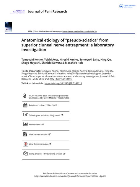 Anatomical Etiology Of Pseudo Sciatica From Superior Cluneal Nerve Entrapment A Laboratory